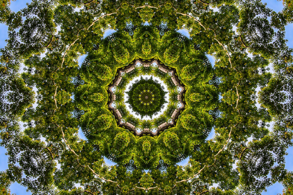 Supporting the organization - Coachline